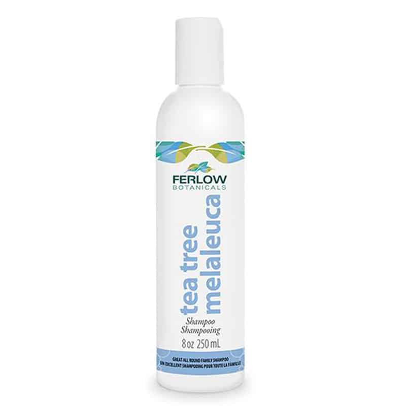 Melaleuca Shampoo| The Harvest|Online store – La Moisson